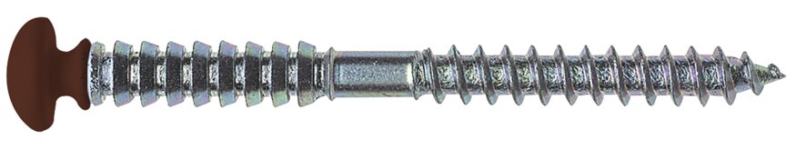 Vis réglage SPTR-A empreinte Torx Tête laquée chêne doré RAL 8003 ...